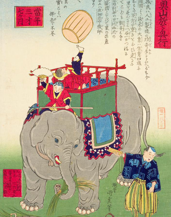 『象』の浮世絵イラストの描き方3ステップ | 似顔絵映画浮世絵師